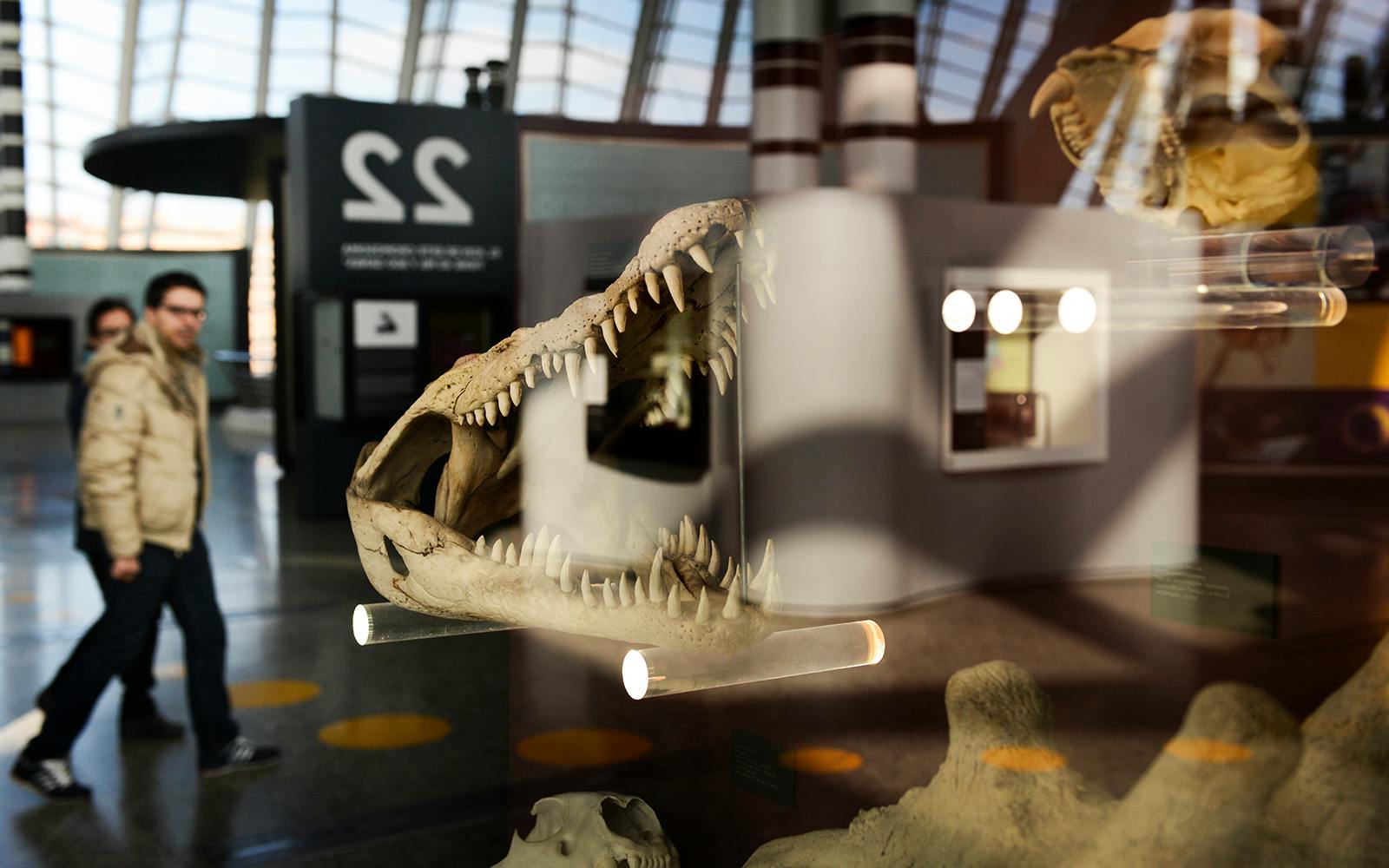 Principe Felipe Science Museum Opening hours | Best Time to Visit