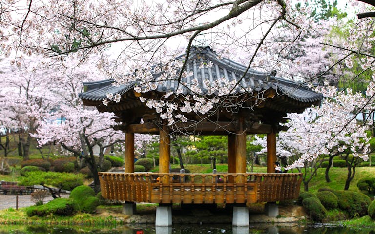 Tour por Corea del Festival de los Cerezos en Flor de Gyeongju | Headout