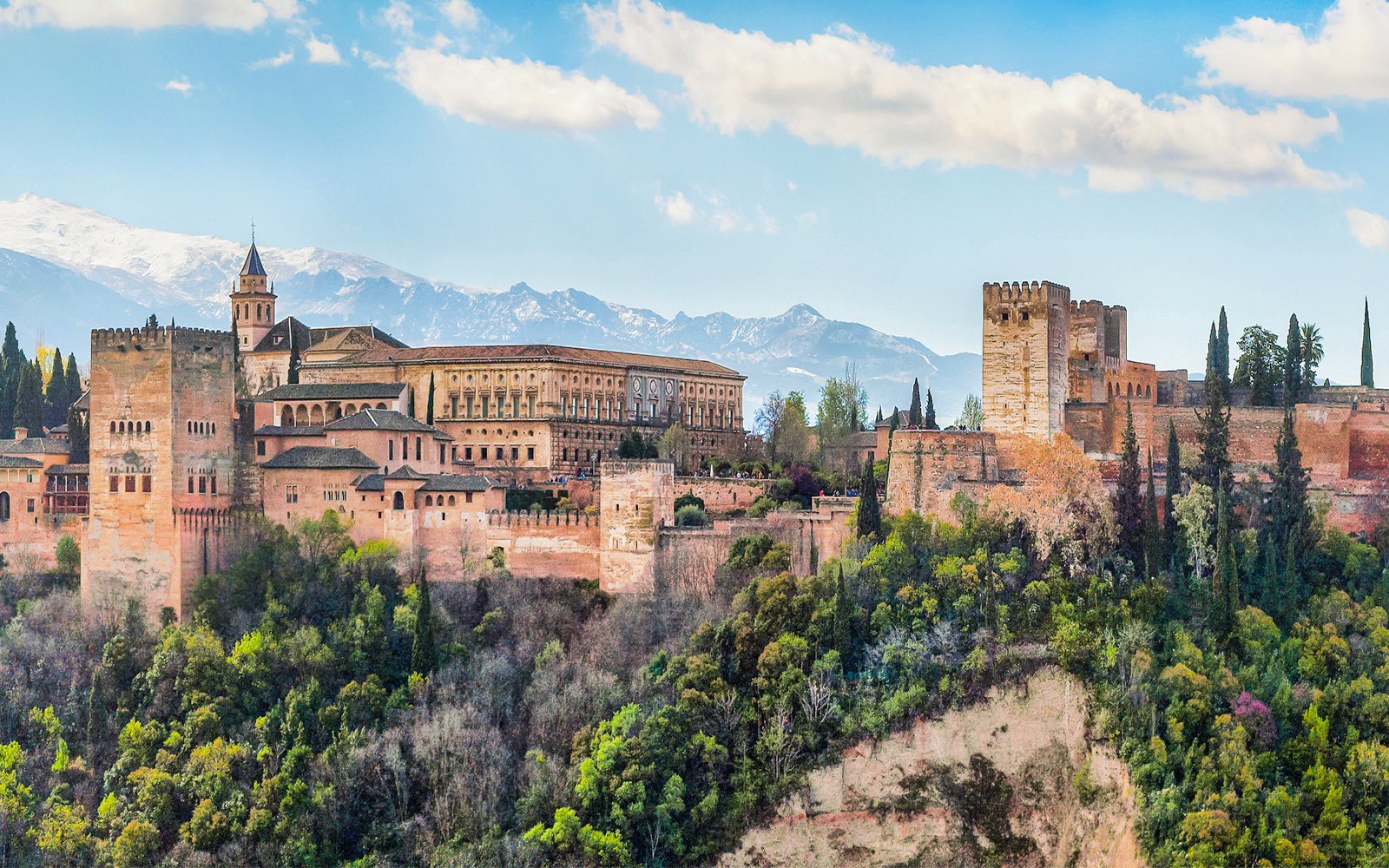 Alhambra Tickets & Guided Tours with Nasrid Palaces Access