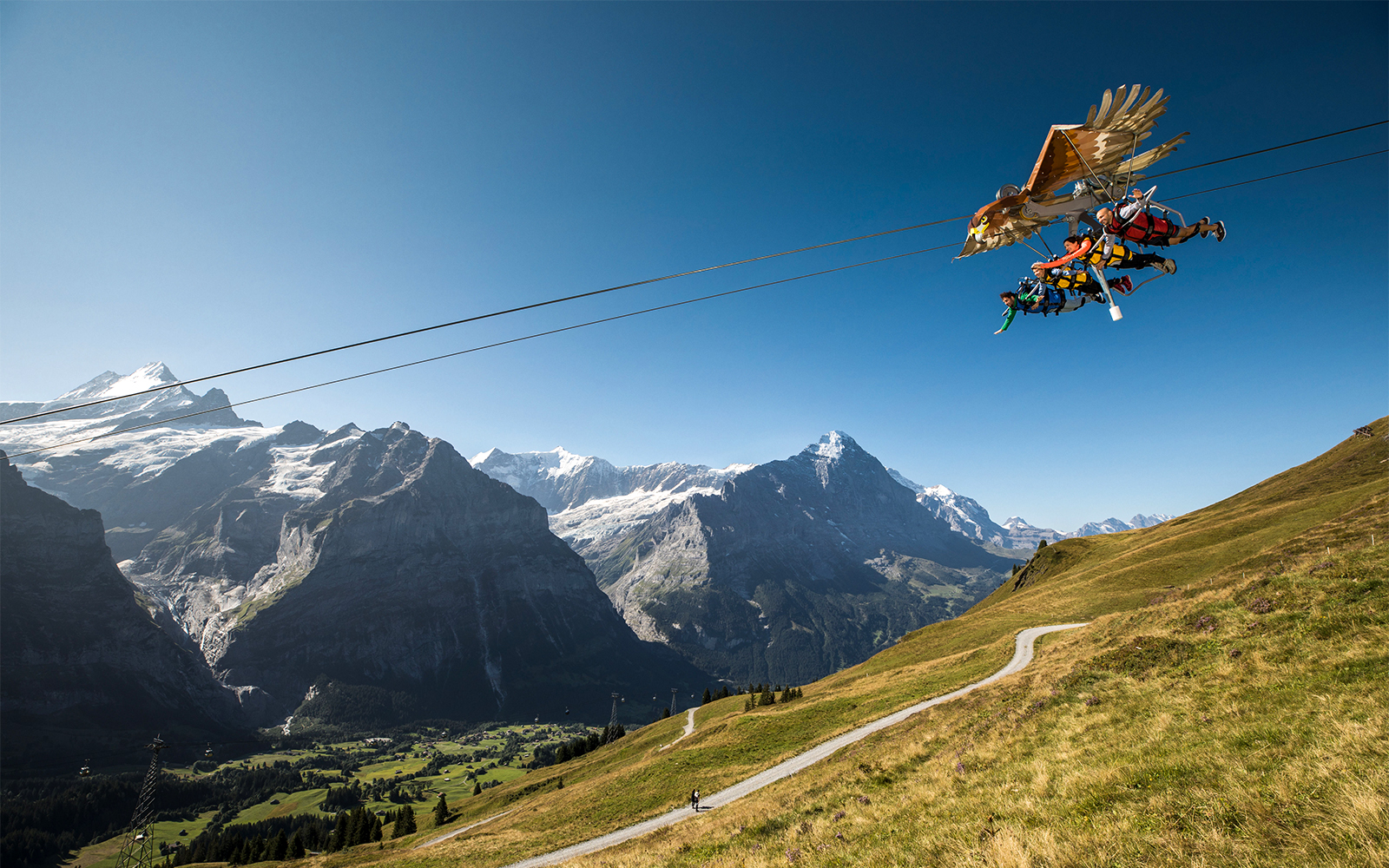 First Glider, Grindelwald First | Vola come un'aquila