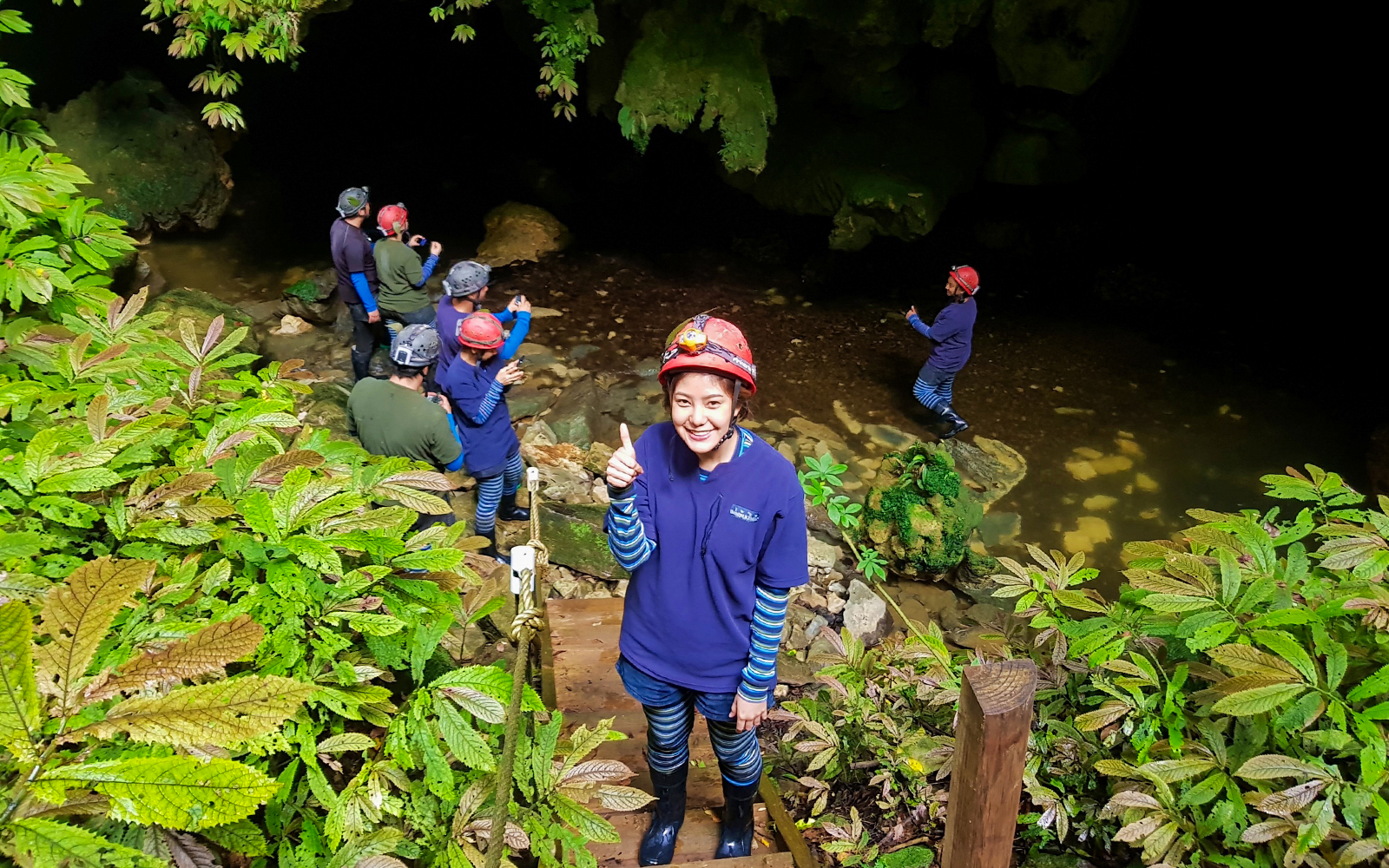 Find the best Waitomo tours New Zealand 2024 | Best Deals