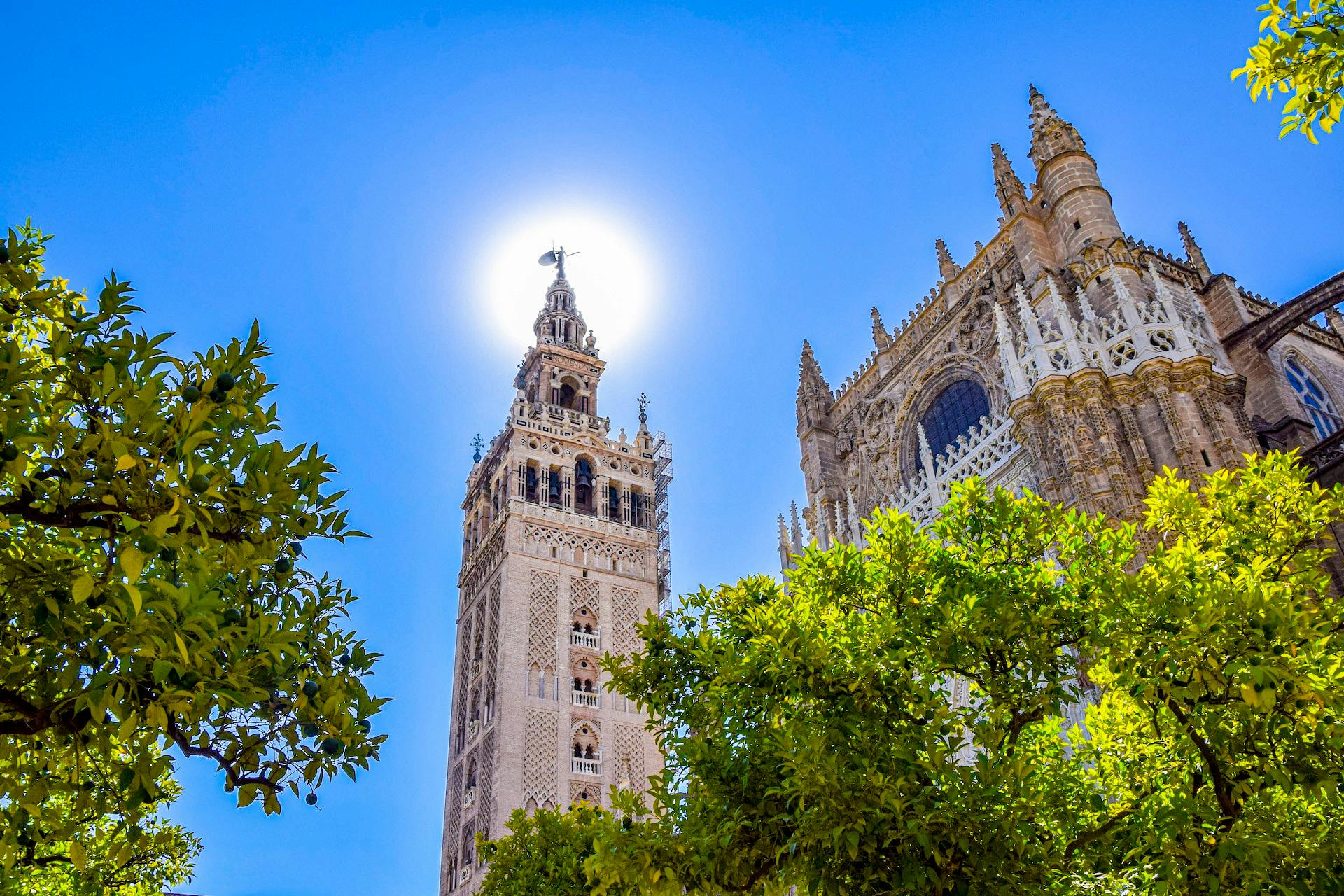Seville Cathedral Location | Directions, Maps, FAQs & more