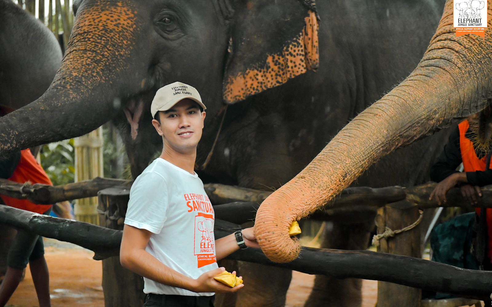 Elephant Jungle Sanctuary Phuket