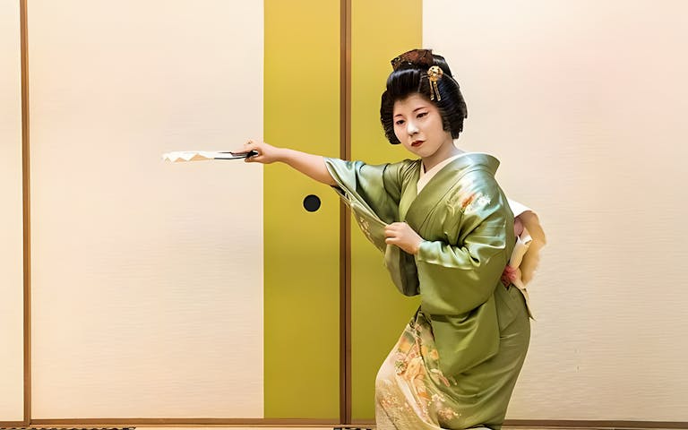 Geisha Show Tickets Tokyo | Kaiseki Dinner