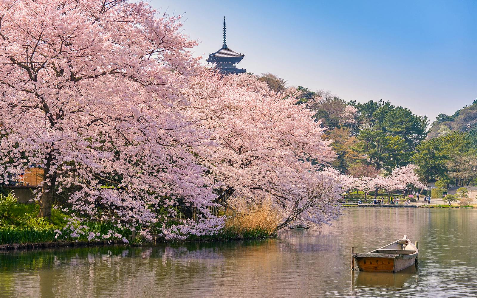 From Sacred to Spectacular: 11 Cultural Festivals around the World