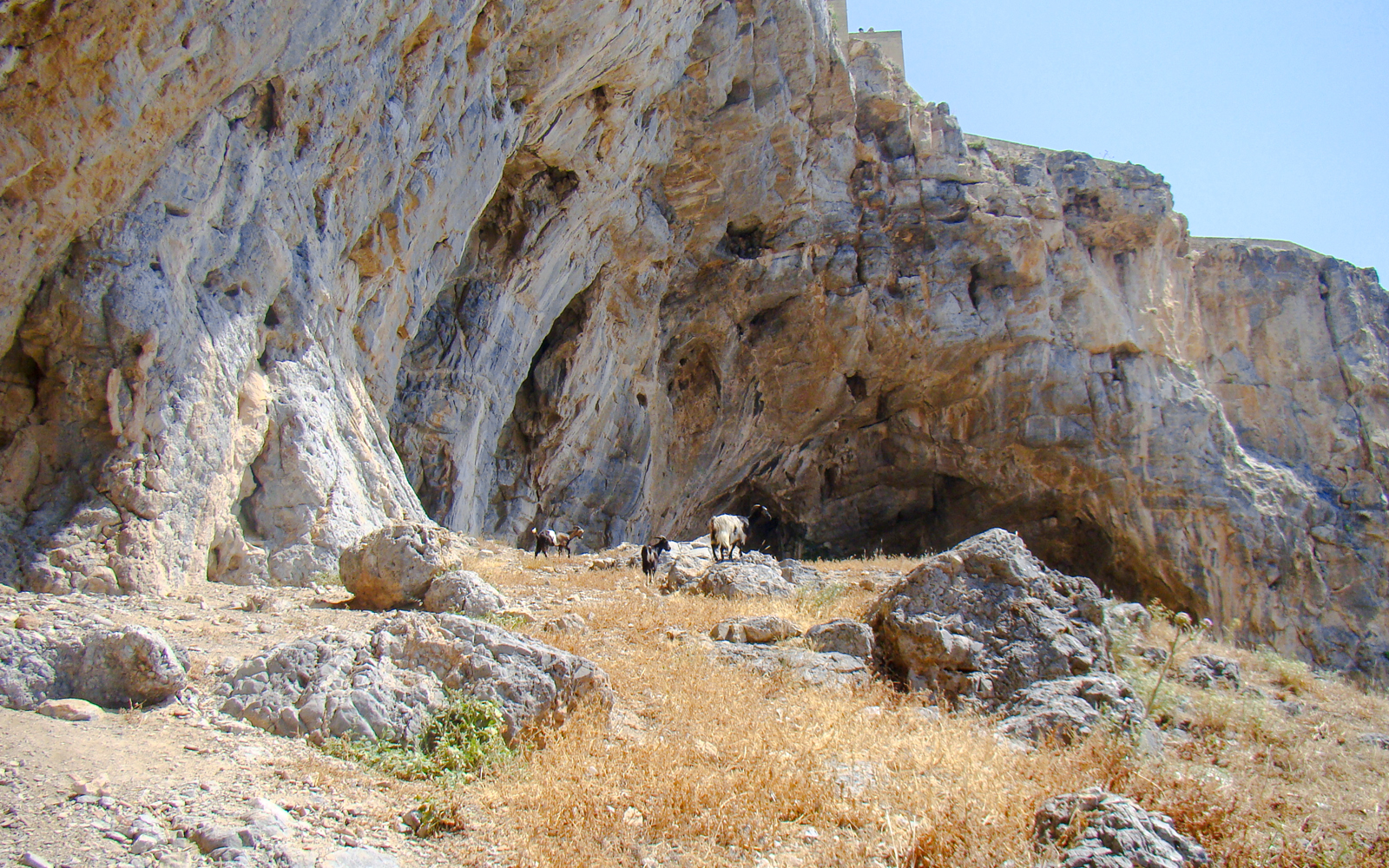 South Slope of the Acropolis: Where Intellectual Life Thrived!