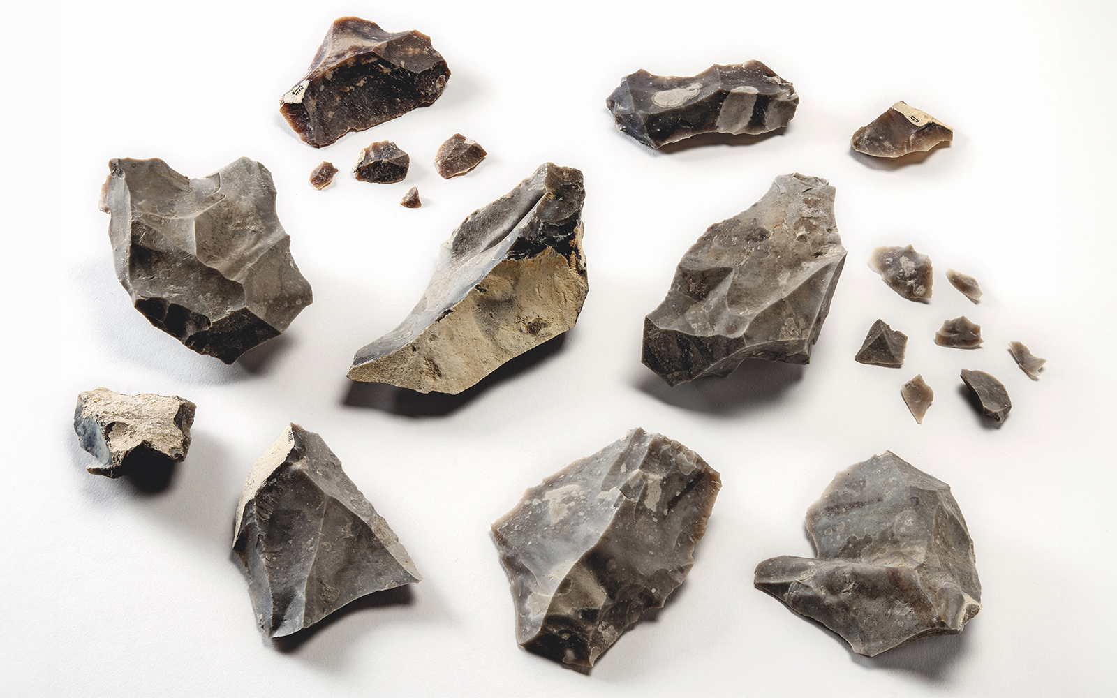 Explore Notre-Dame in Paris | Tickets & Guided Tours