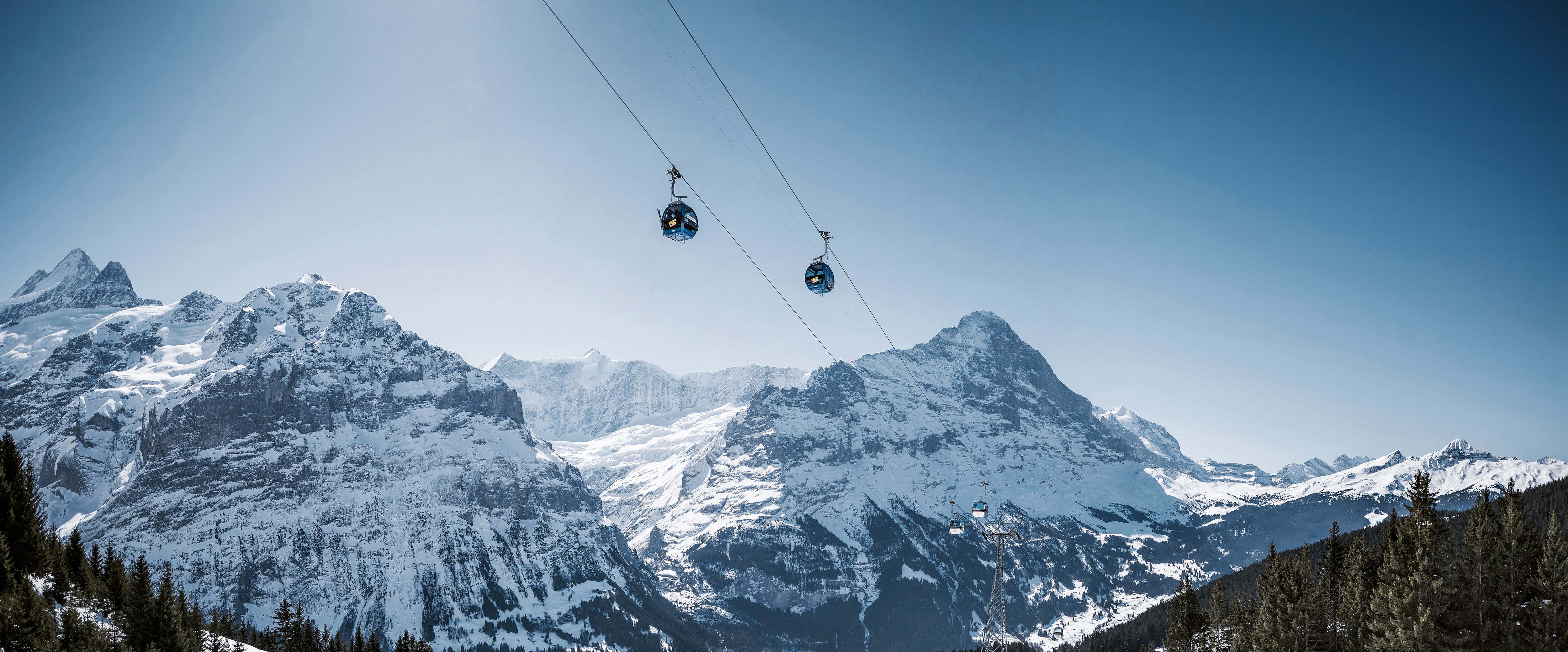 Grindelwald First Tickets 2023 | Gondolas, Skiing & More