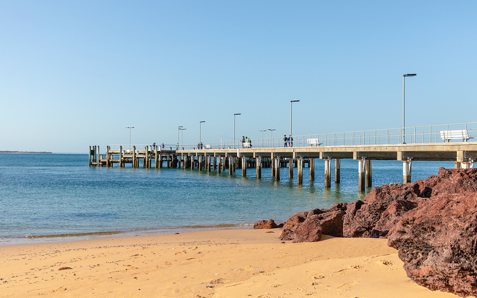Phillip Island Nature Parks: Unleash Your Wild Side