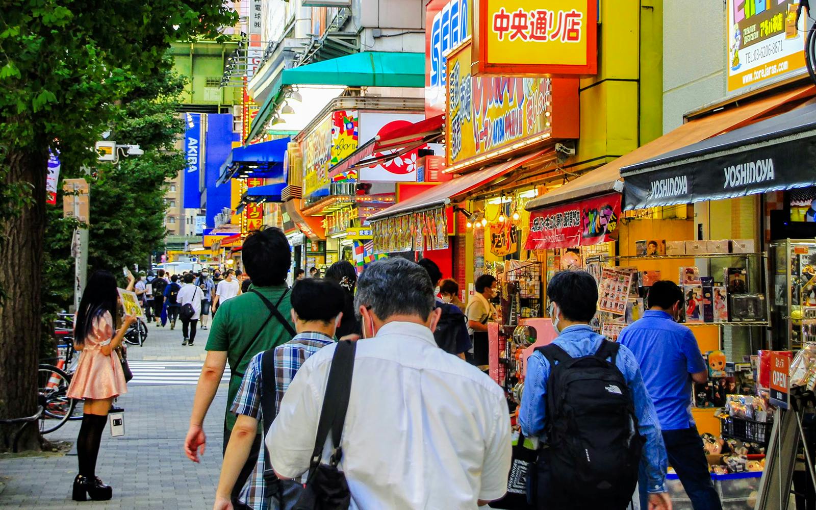 Tokyo Walking Tours | Asakusa, Ueno, Shinjuku & Free City Walks