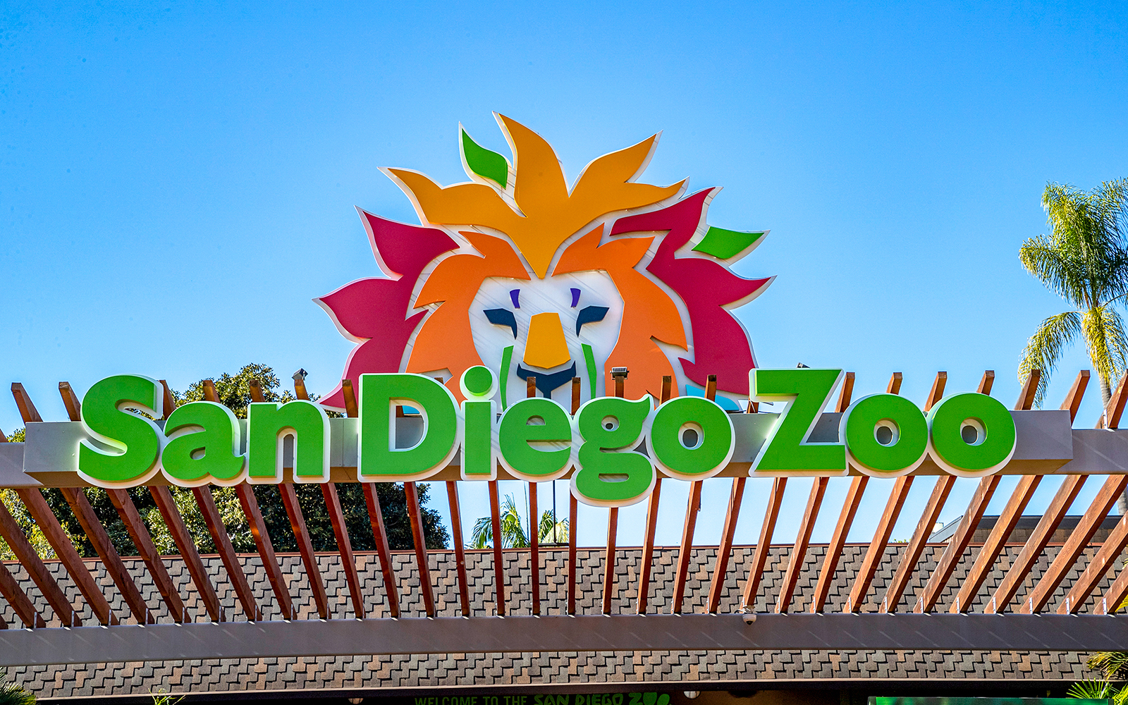 San Diego Zoo Tickets | Book Your Wildlife Adventure Now!