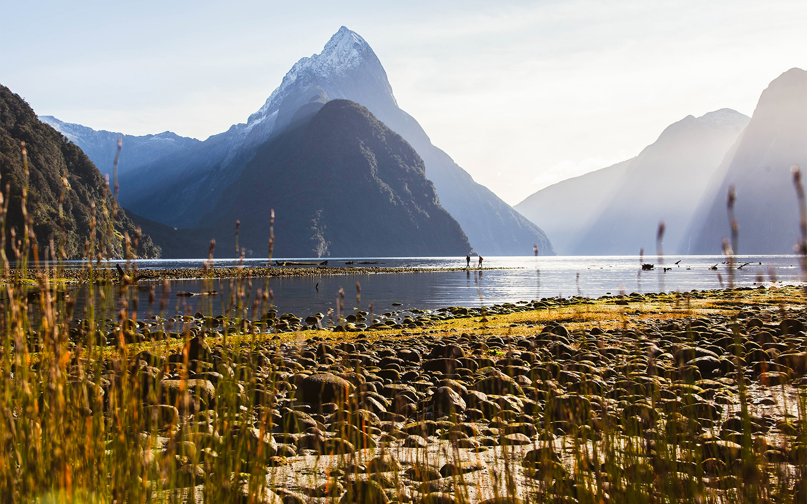 Scenic Flights to Milford Sound from Te Anau & Queenstown