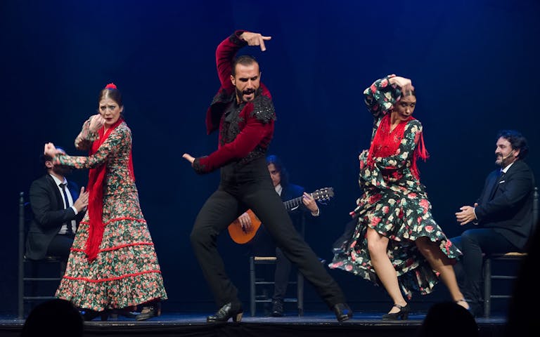 Emotions Show | Teatro Flamenco Madrid