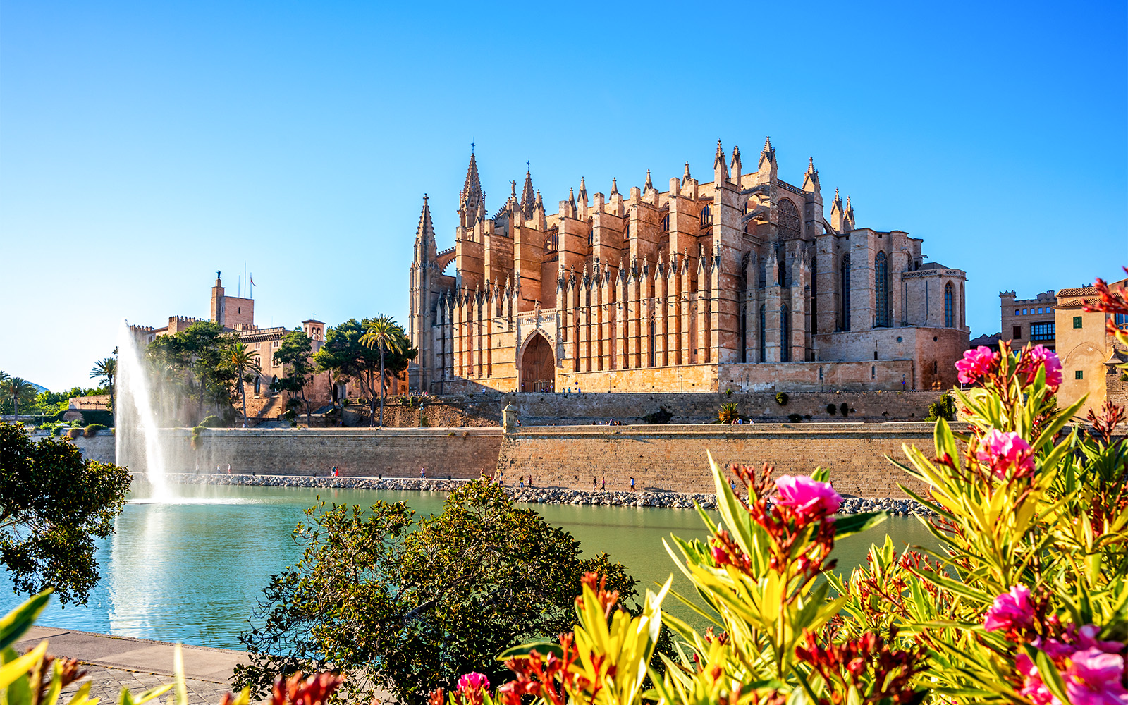 Visit Palma Cathedral | Timings, Location & More