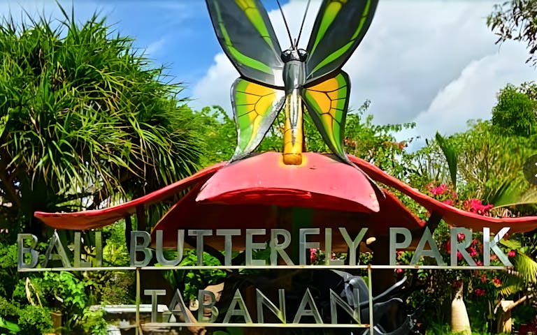 Bali Butterfly Park Tabanan Tickets | 900+ Butterflies