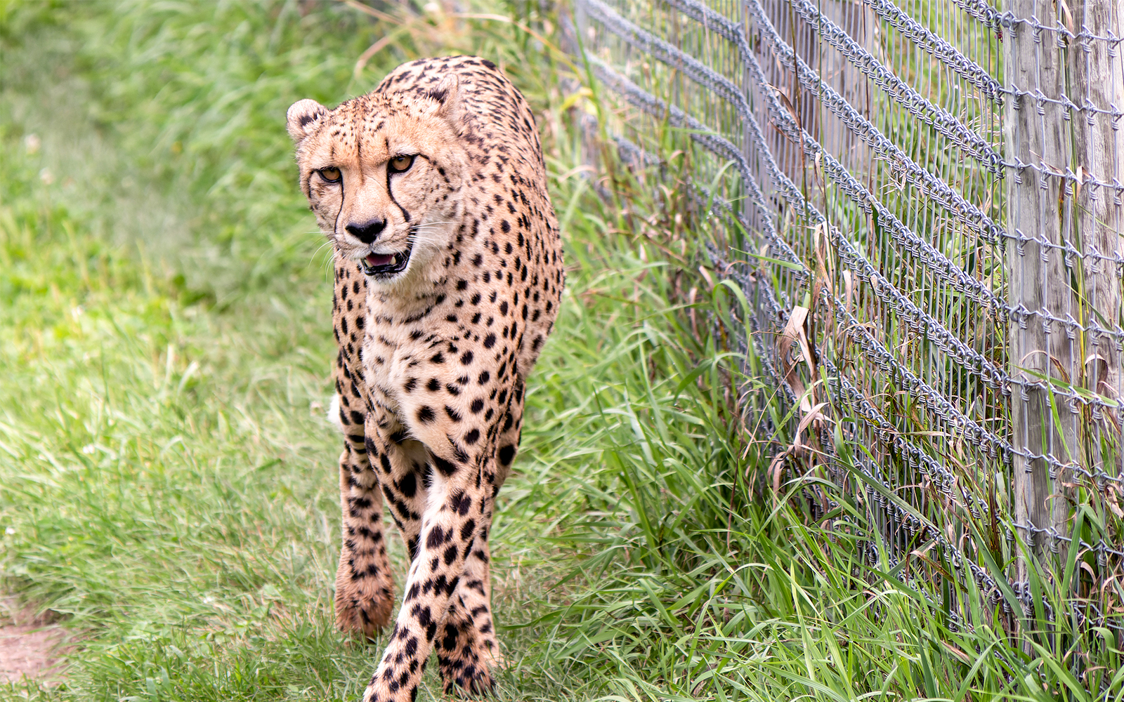 Book Big Bus Philadelphia Tours | 28 Distinct Stops