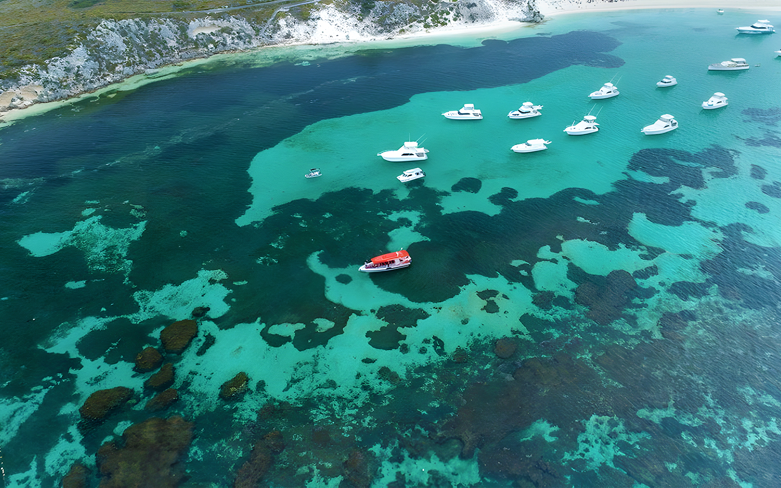 Ferry to Rottnest from Fremantle | Fast Tickets & Day Tours