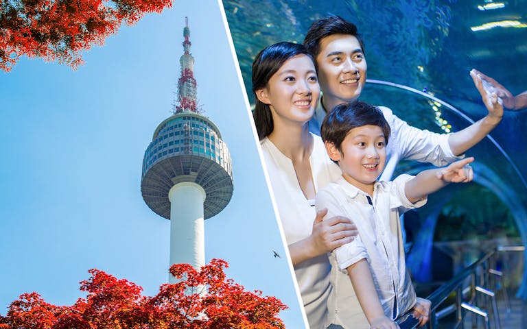 Book N Seoul Tower & COEX Aquarium Combo Tickets | Headout