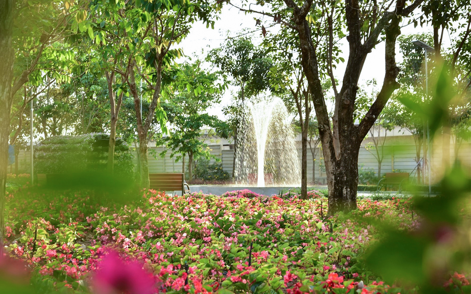 Flower Land Pattaya Tickets | Headout