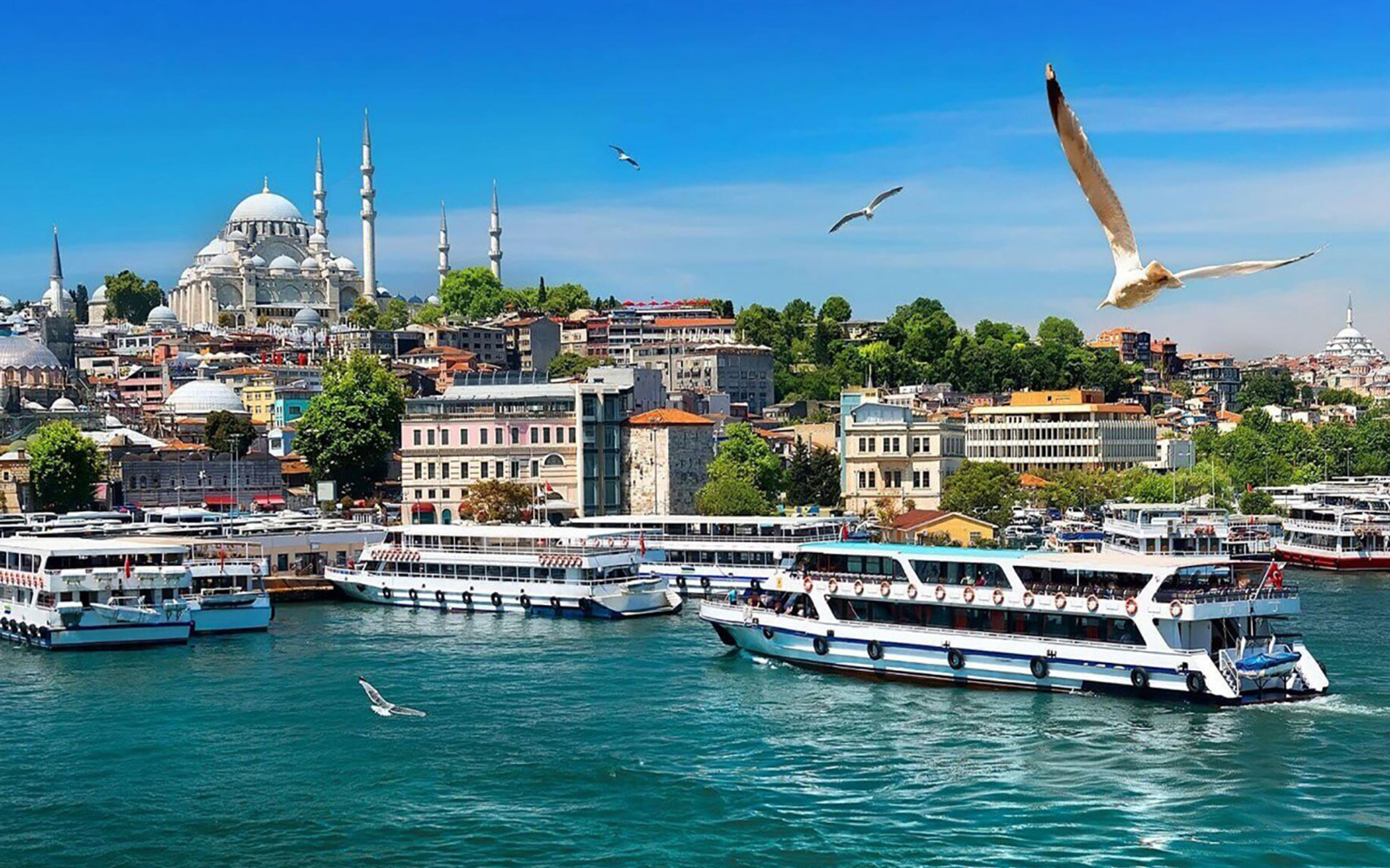 Hop-on Hop-off Istanbul | 1/2-Day Passes | Audio Guides