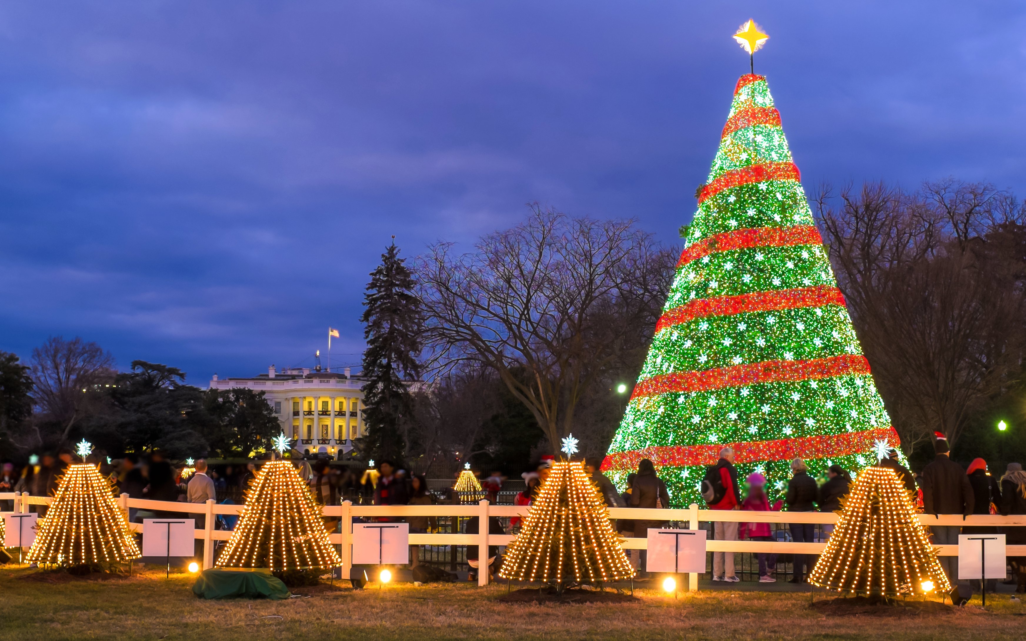 Noël à San Diego 2025 | Les meilleures choses à faire