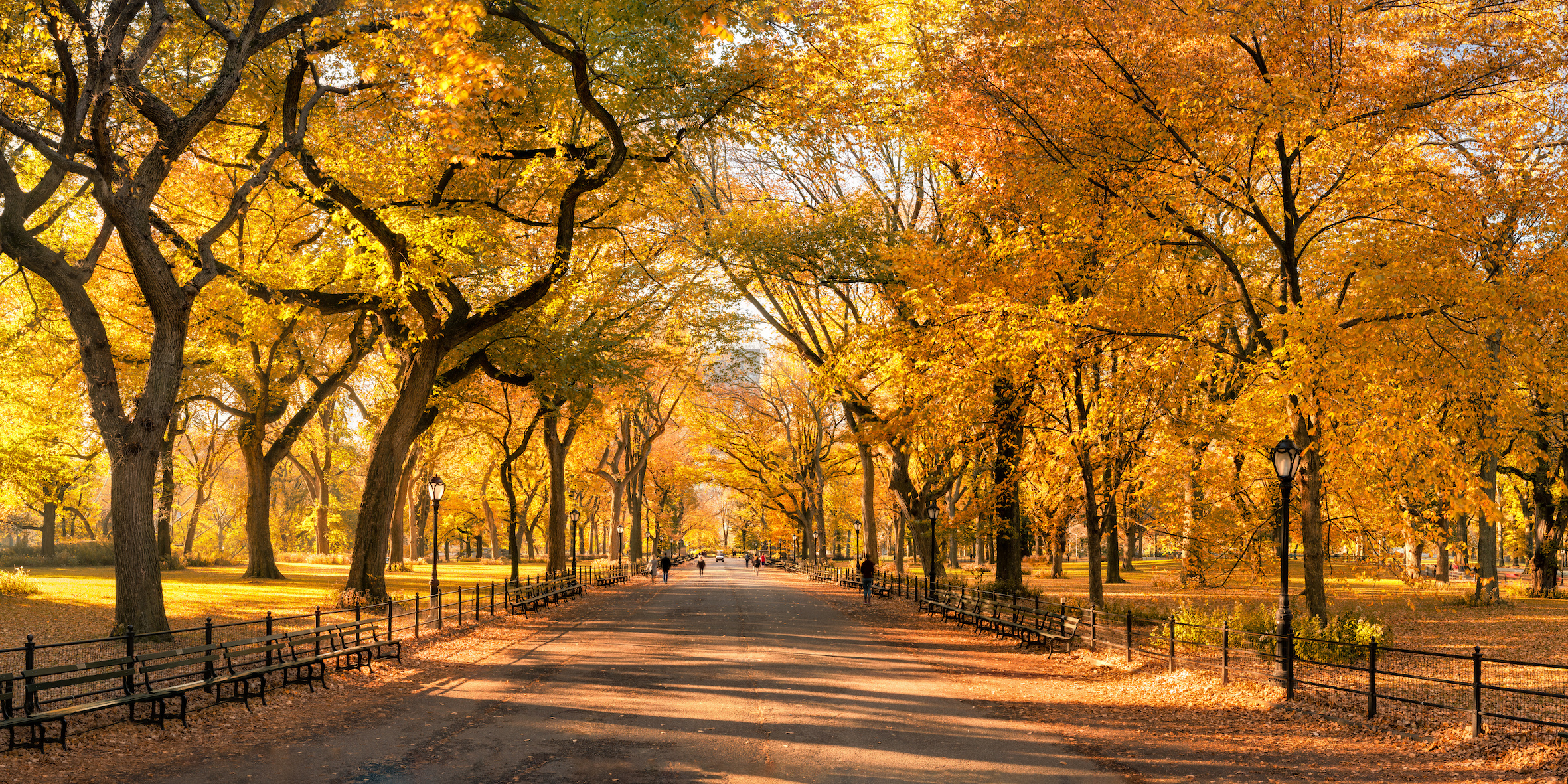 A Guide to Visiting New York in November | Attractions, Malls & More