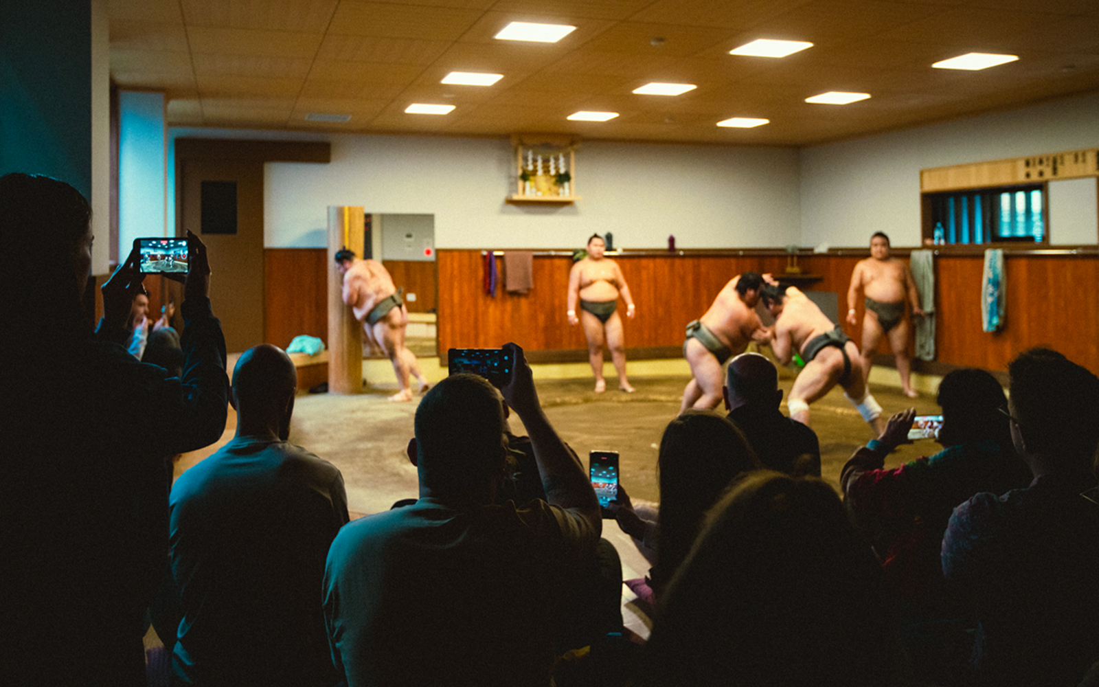 Book Discounted Sumo Wrestling In Tokyo Tickets | Headout