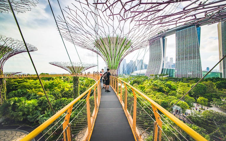 Gardens by the Bay: Bosque Nuboso y Observatorio del Superárbol o OCBC ...