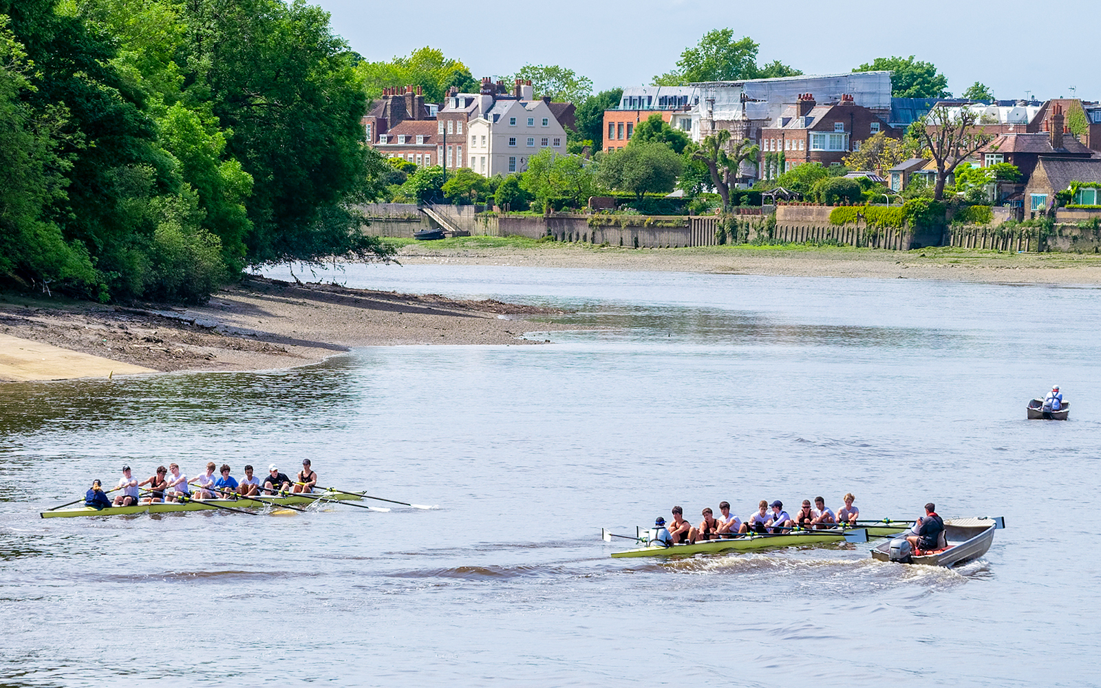 Thames River Facts | Discover Amazing Facts about London's Lifeline