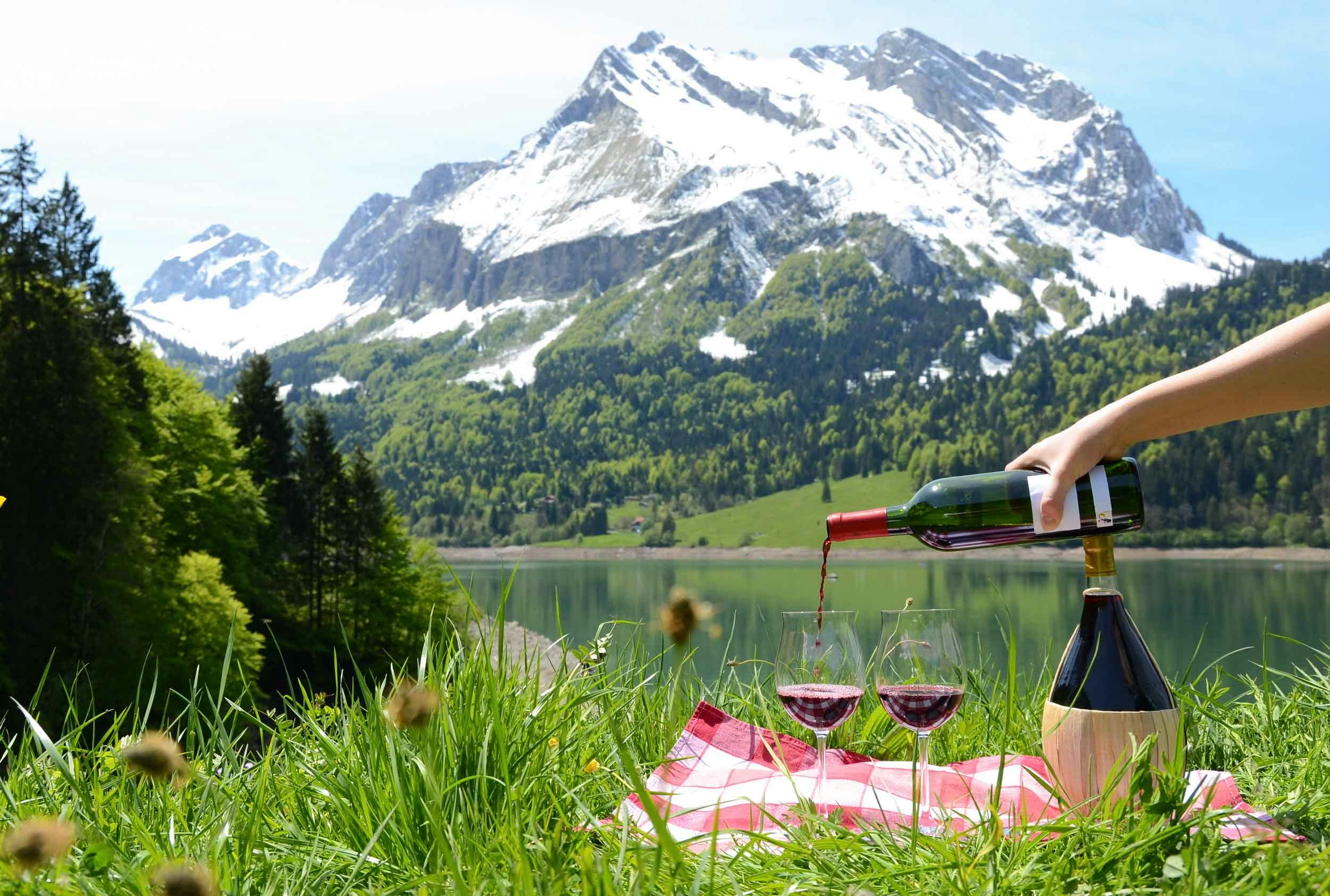 Thrill-Seekers Rejoice! Mountain Carting in Grindelwald