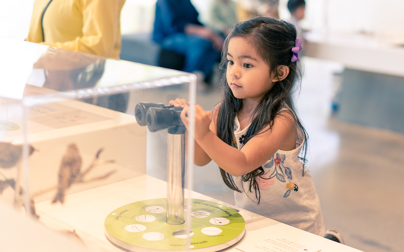 NEMO Science Museum Tickets | Skip the Line & Combo Deals