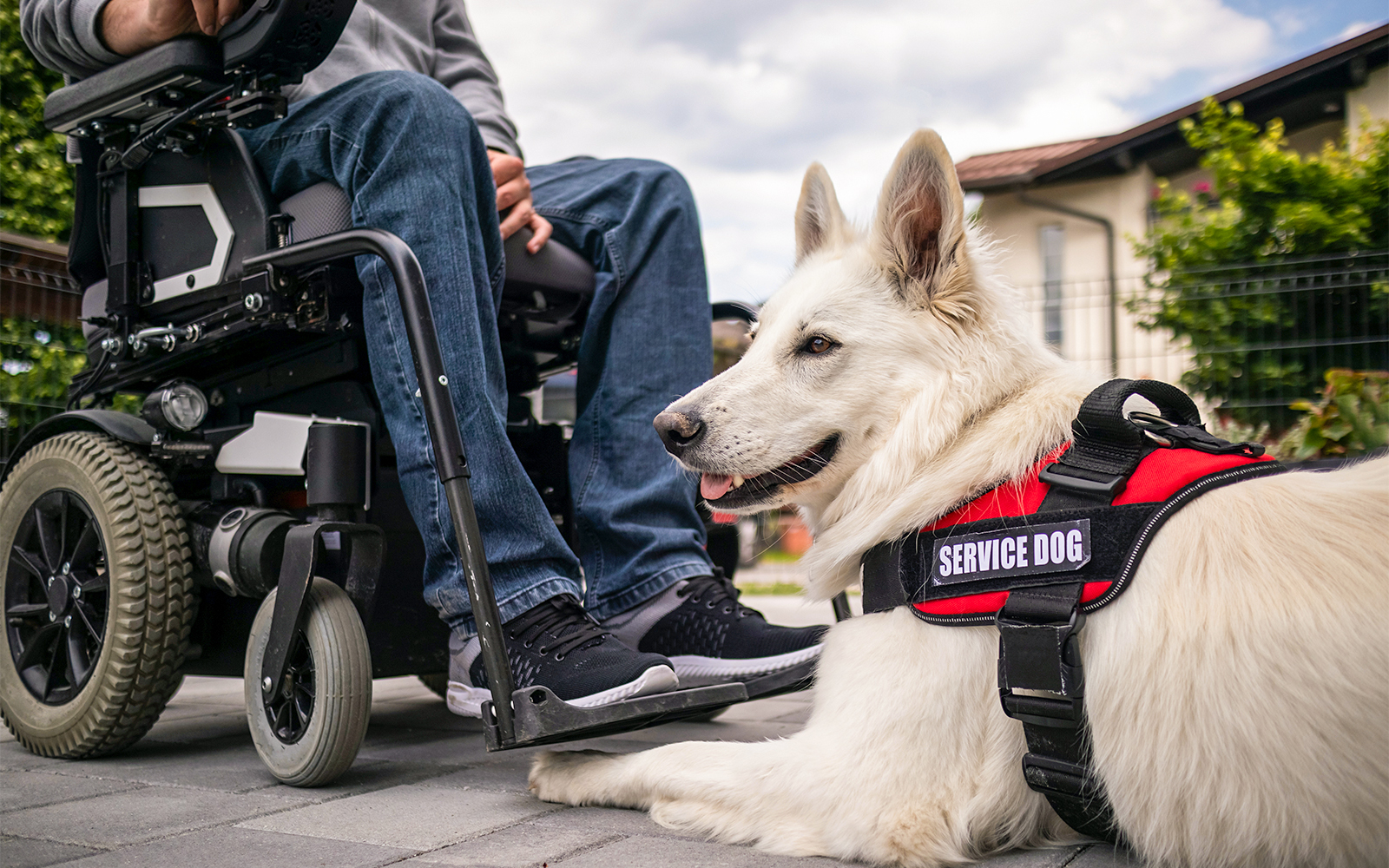 Mary Valley Rattler Timetable | Plan Your Visit