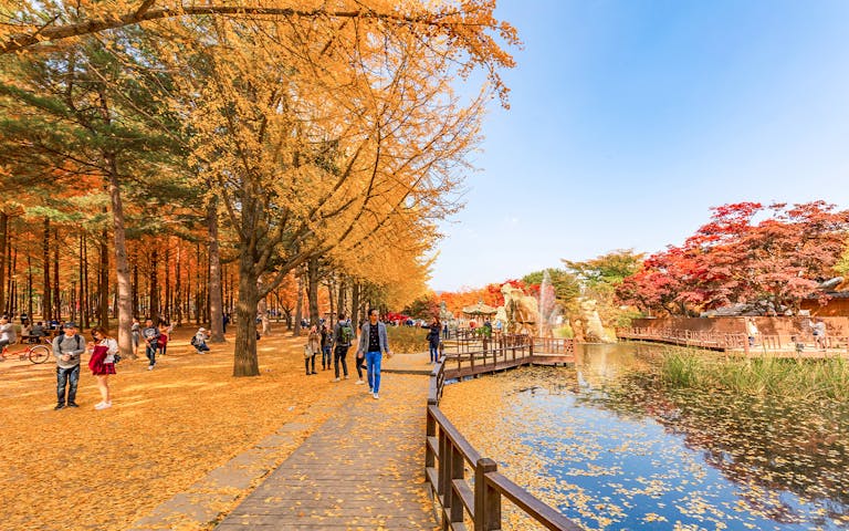 Nami Island Tour from Seoul | The Garden of Morning Calm