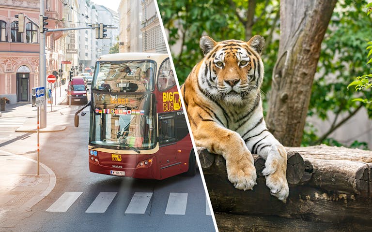 Billets pour le Zoo de Schönbrunn + visite combo Hop-On Hop-Off à Vienne
