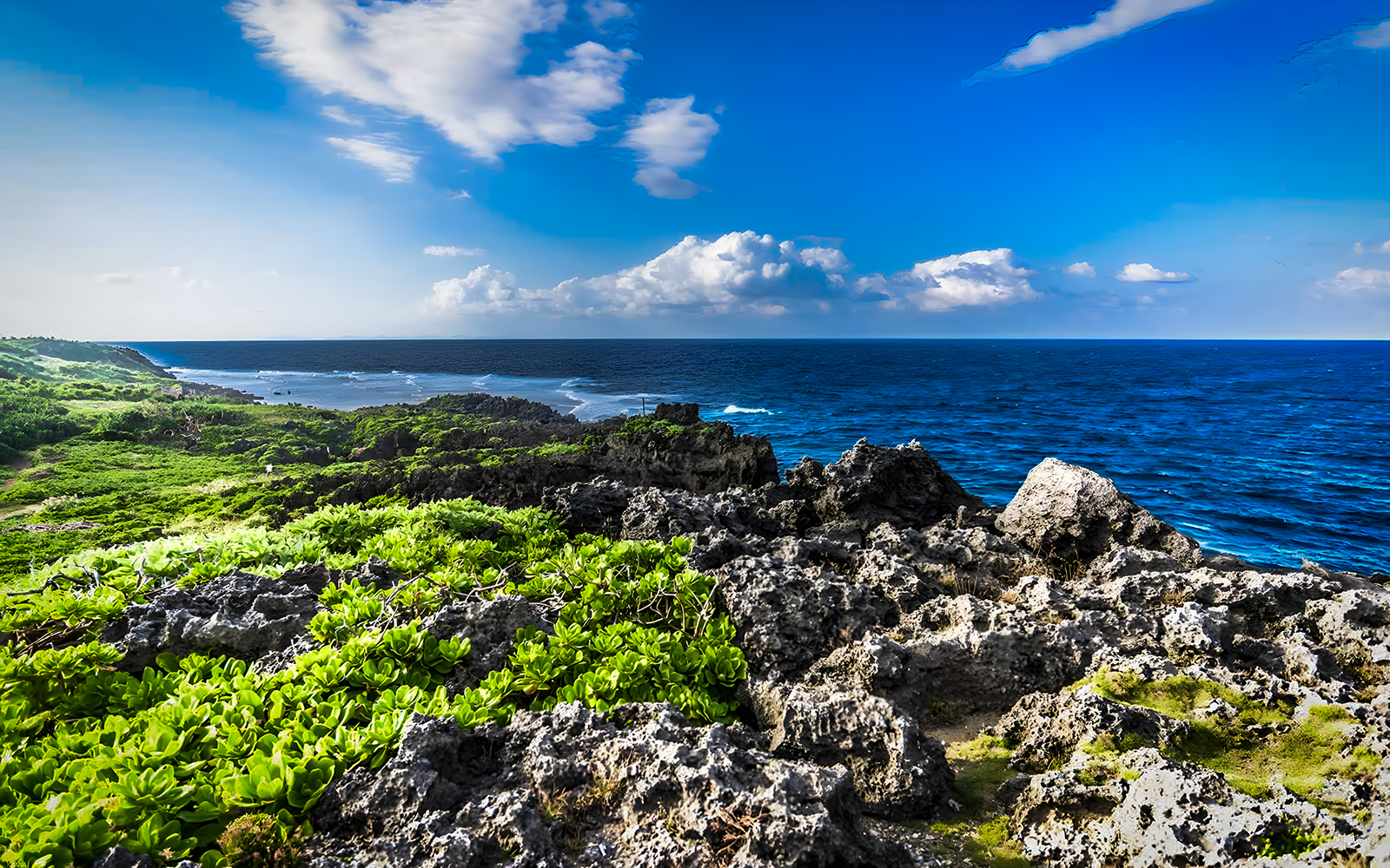 Hop-on Hop-off Okinawa | Audio Guides & Round-Trip Transfers