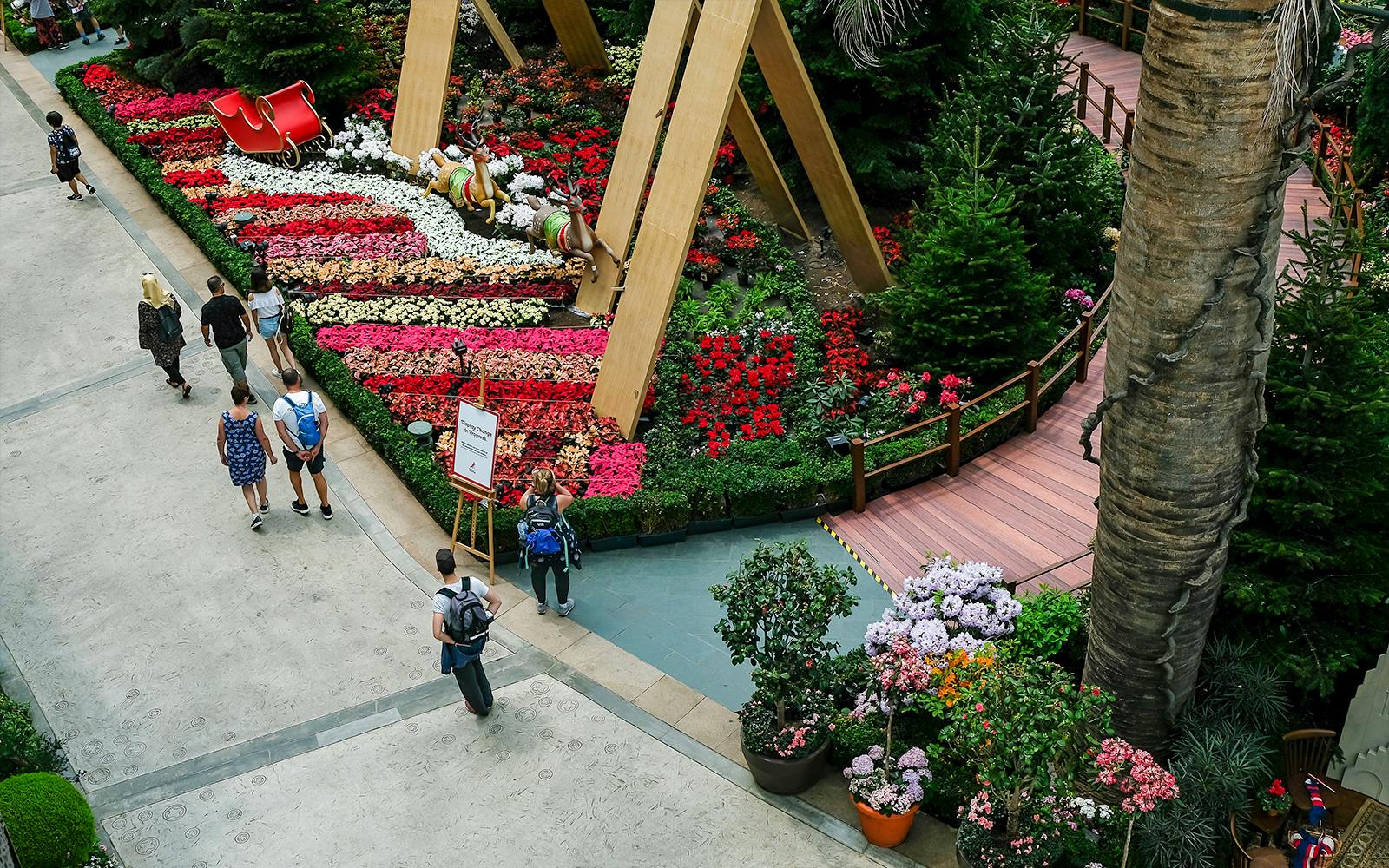 Flower Dome | A Botanical Wonderland at Gardens By The Bay