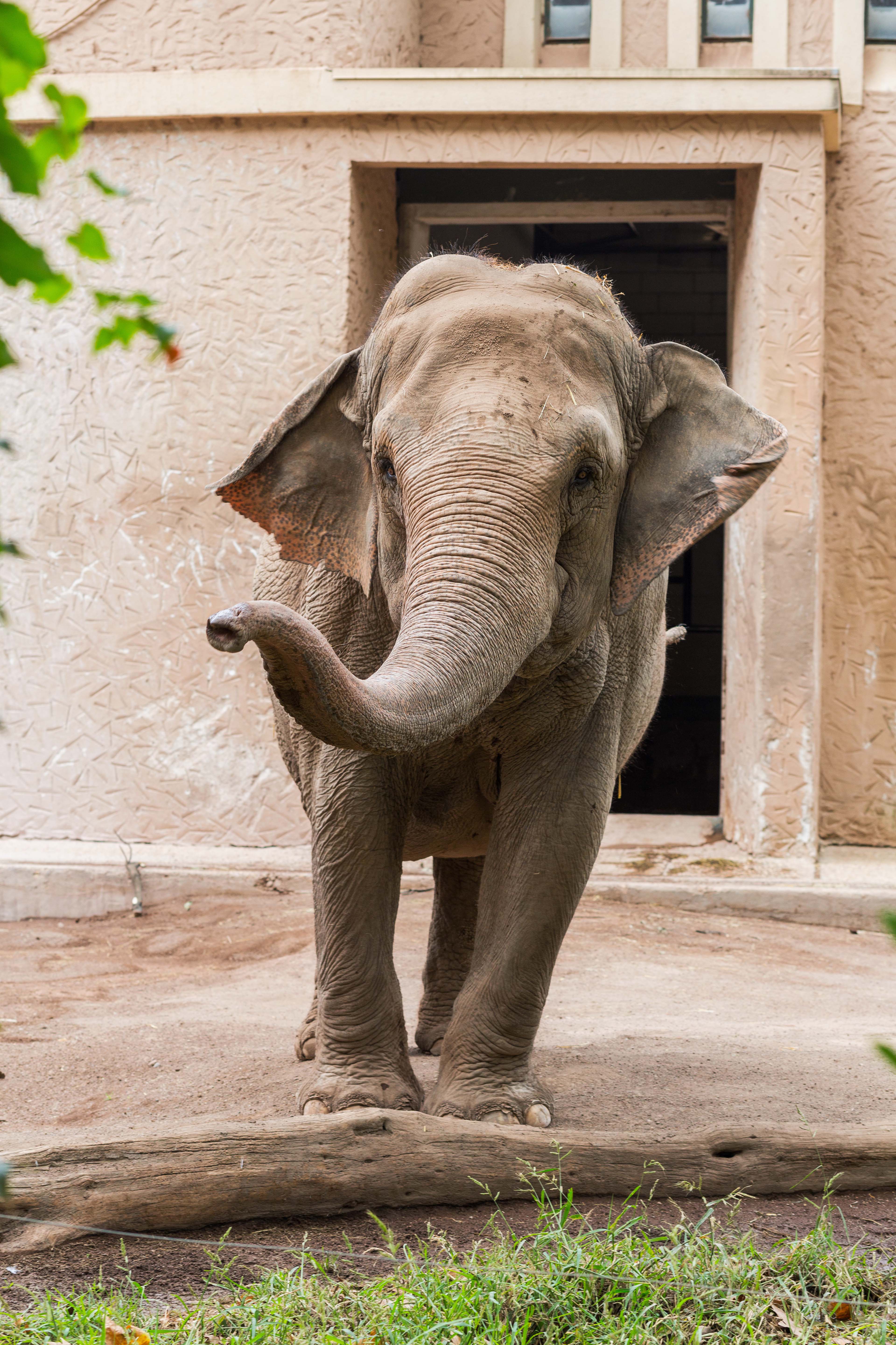 Must-Visit Zoos in Rome 2025 | Aquariums, Petting Zoos, & More!