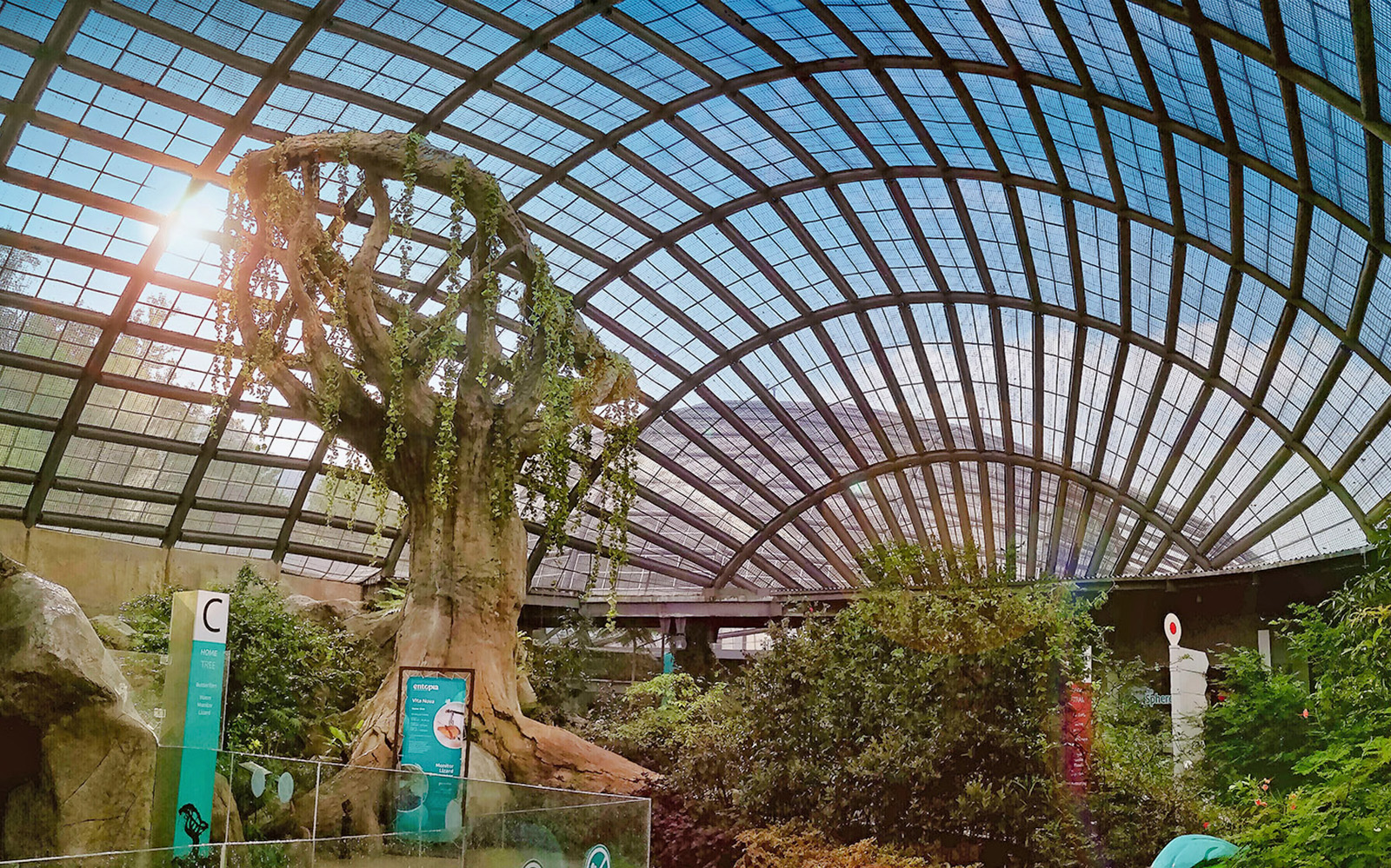 Book Entopia By Penang Butterfly Farm Tickets 2023 | Malaysia Attractions