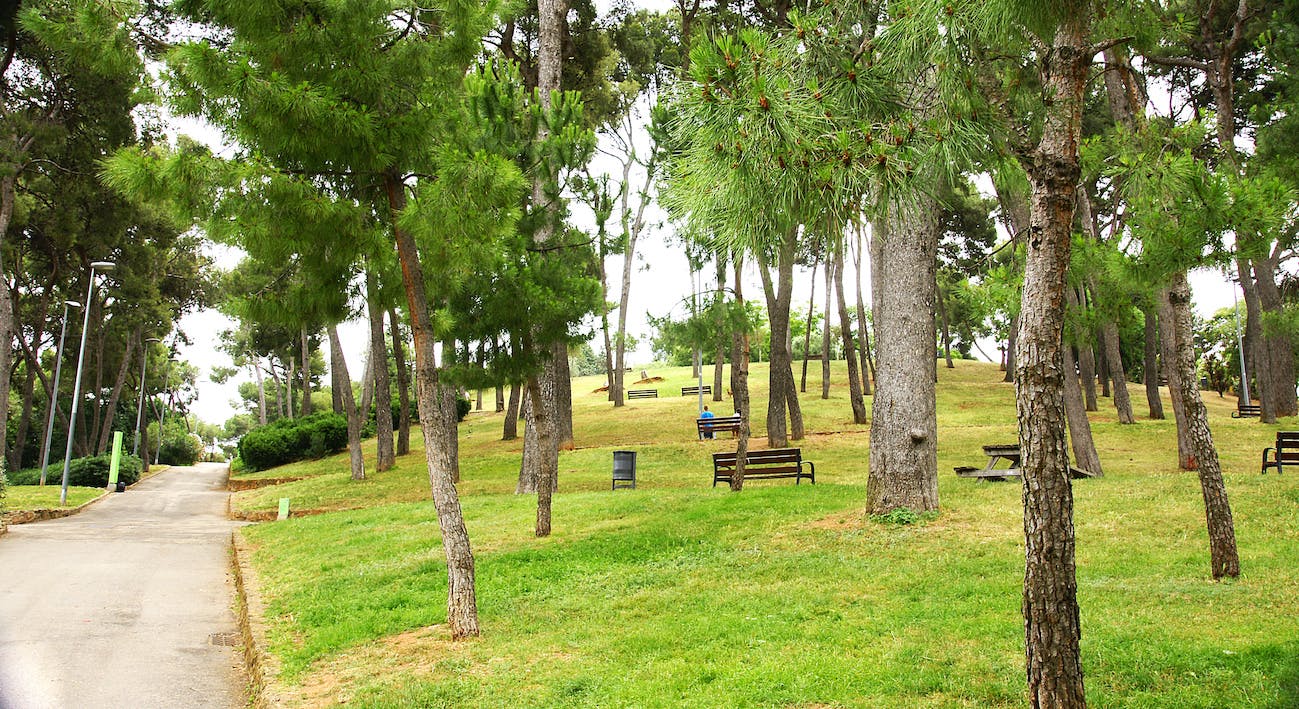 Best Parks in Barcelona 2023 | Best Things to do & More