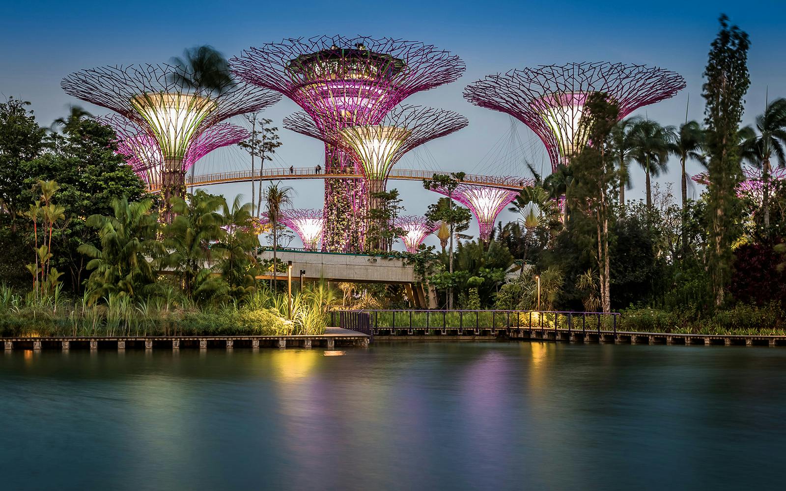 Gardens By The Bay Light Show Everything You Need To Know Gardens By The Bay Light Show Everything You Need To Know