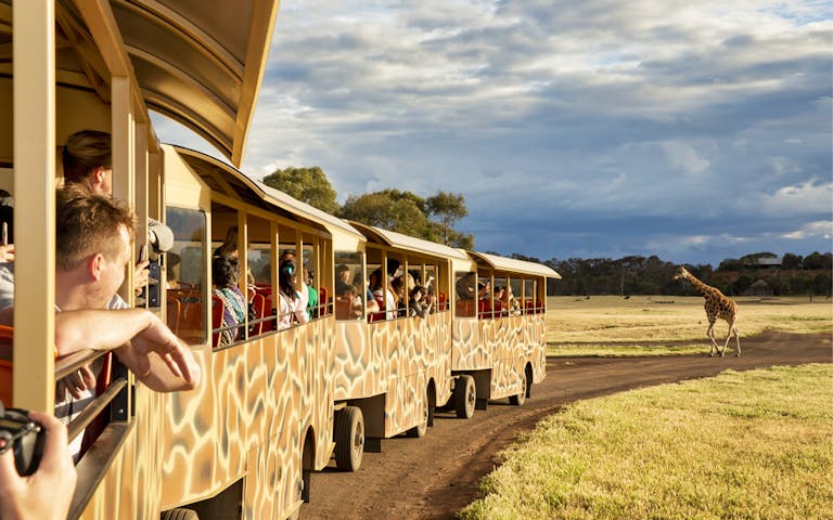 Werribee Zoo Tickets – Guided Animal Safaris | Headout