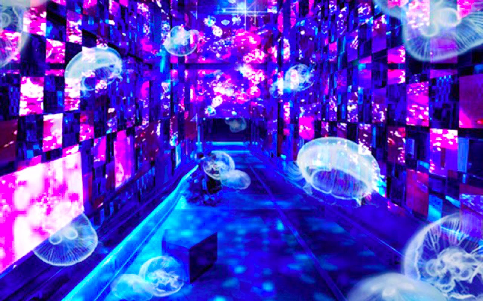 Sumida Aquarium Tokyo Tickets 2021 | Exclusive Deals