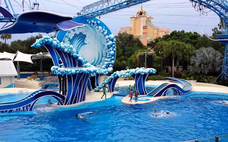 1 Day SeaWorld Orlando Entry Tickets | Headout