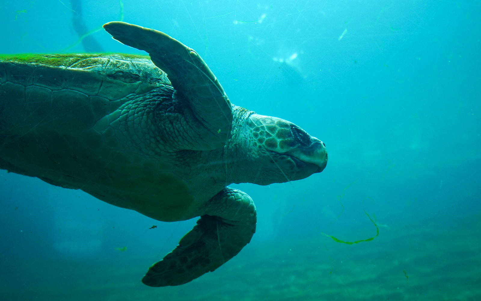 Book Top Valencia Attraction Tickets & Tours 2023