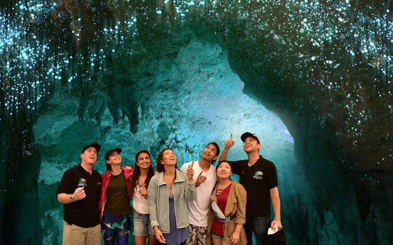 From Auckland to Waitomo Cave Tour | Expert Guide