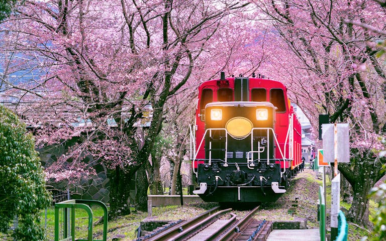 Book A Sagano Romantic Train Ticket in Kyoto