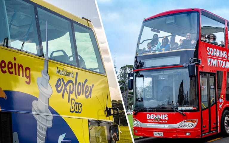Hop On Hop Off Auckland Bus & All Blacks Experience Ticket 2022