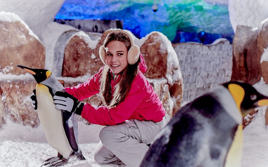 Ski Dubai Tickets – Unlimited Rides, Penguin Encounter
