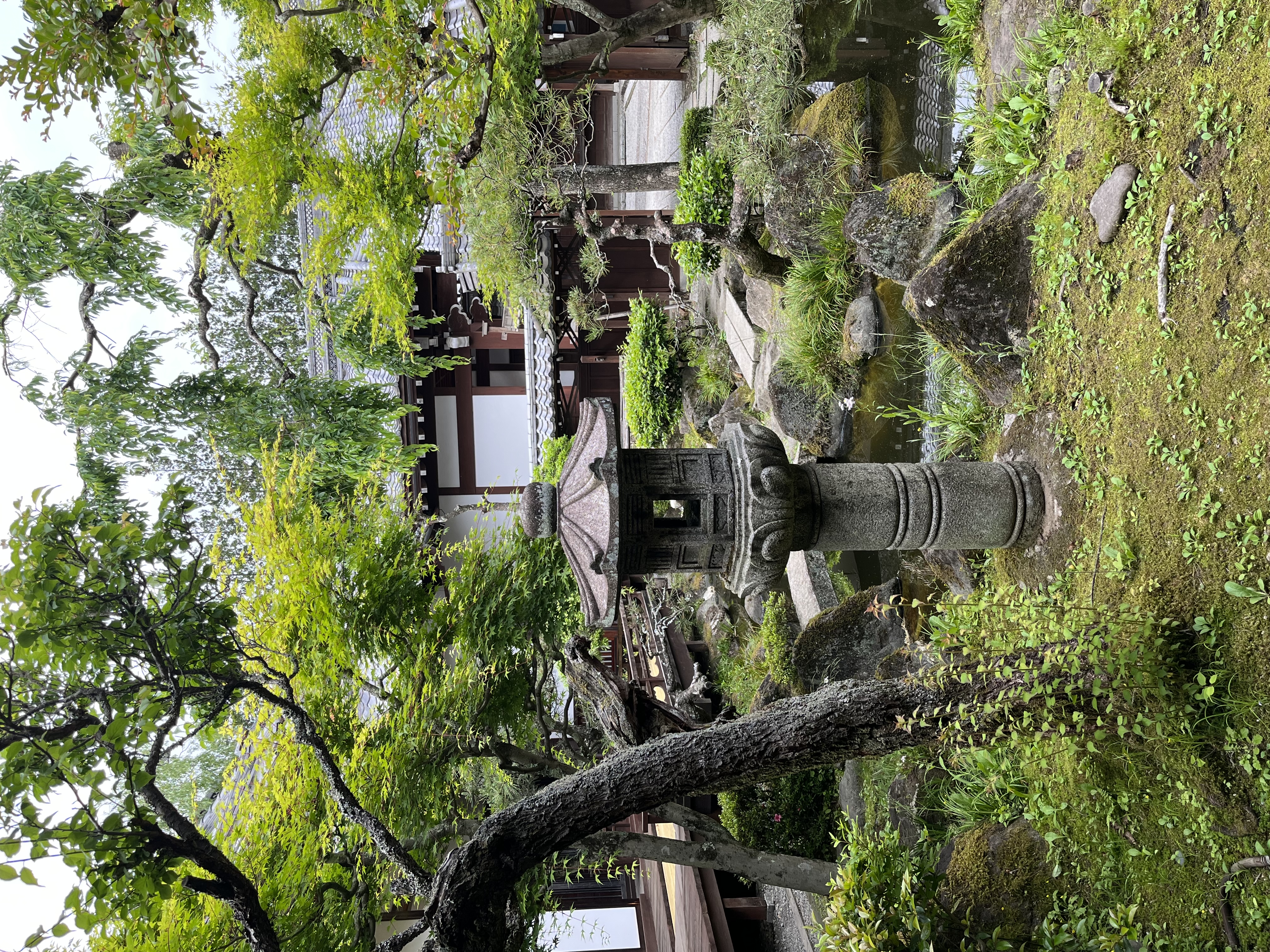 Edo Wonderland Entry Tickets Amusement Park Japan