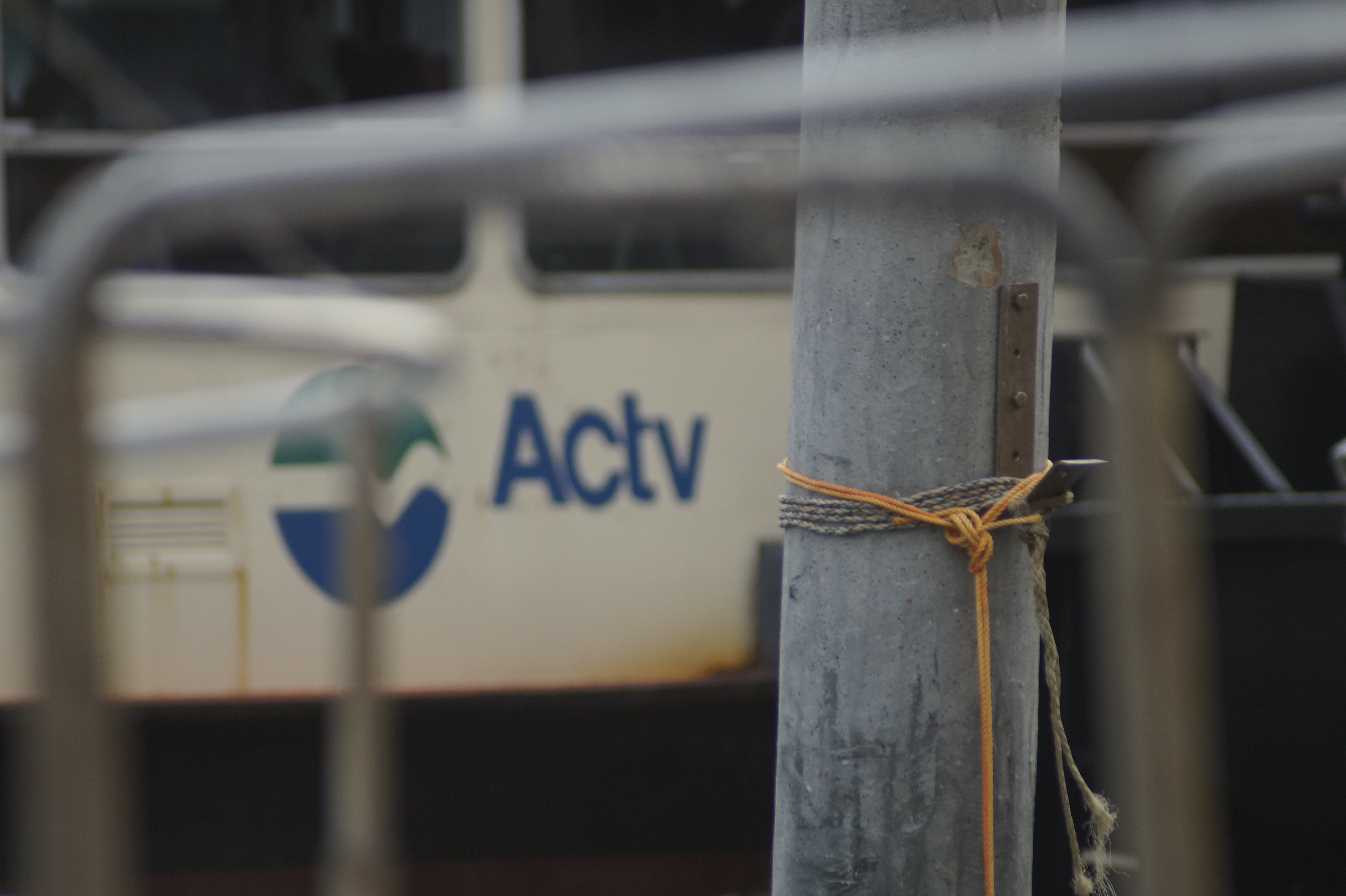 Venice Water Bus Tickets | ACTV Passes & Unlimited Travel